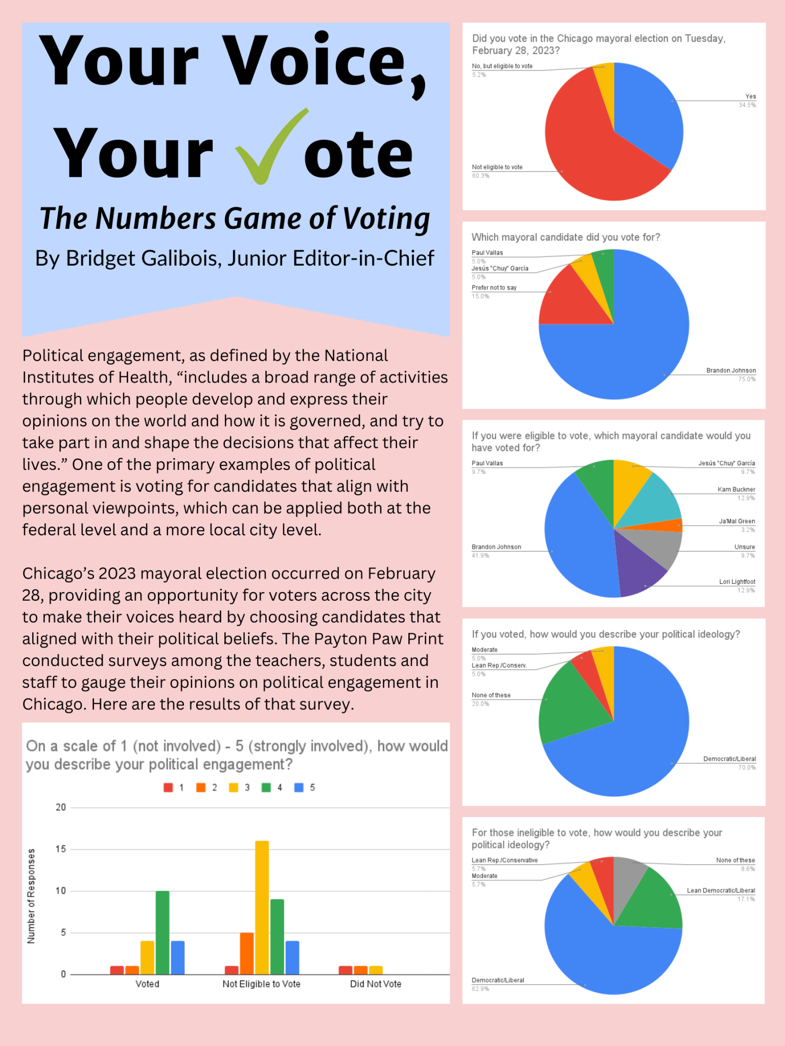 Infographic – Your Voice, Your Vote: The Numbers Game of Voting – The ...